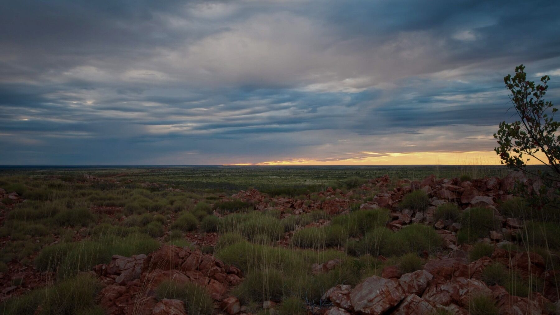 Driving the Tanami Track (Camping Along the Way)