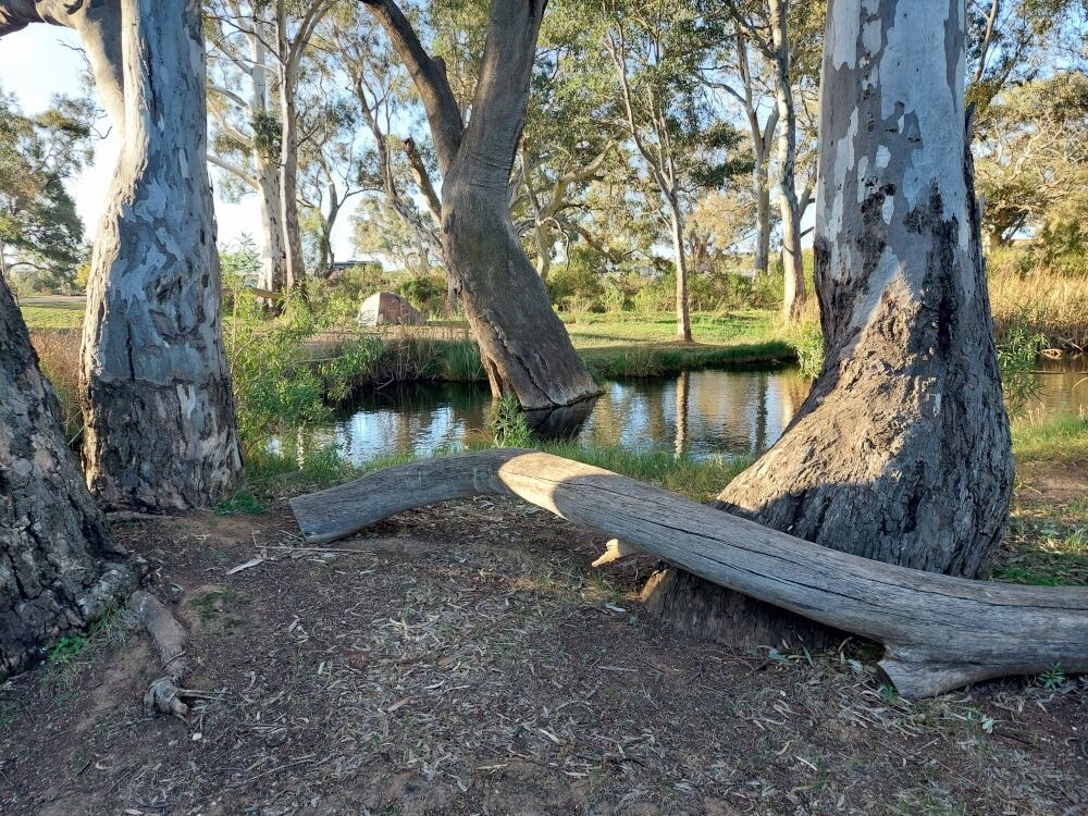 Worlds End Gorge Camping - Burra